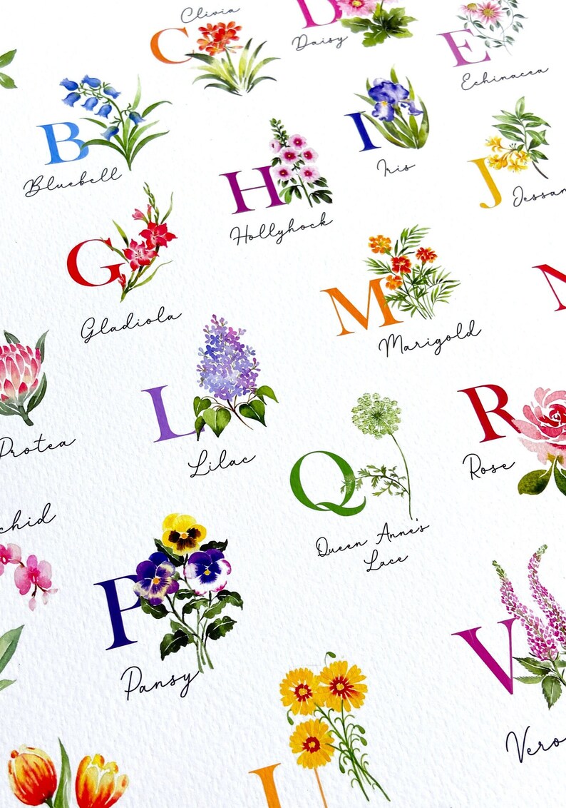 Flower Alphabet, Floral Alphabet Poster, Wildflower Alphabet ...