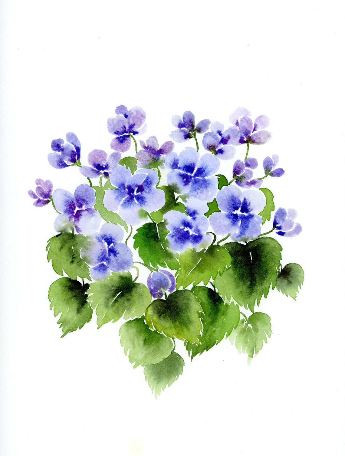 Watercolor Violets Giclee Print Purple Flower Watercolor - Etsy
