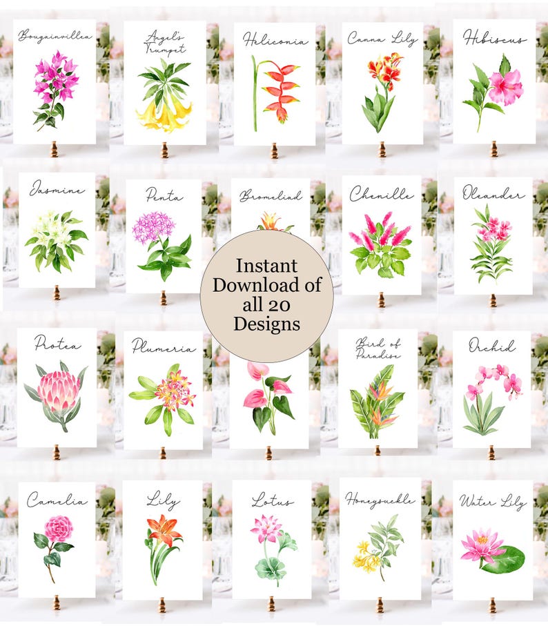 Printable Tropical Table Cards, Tropical Flower Table Numbers ...