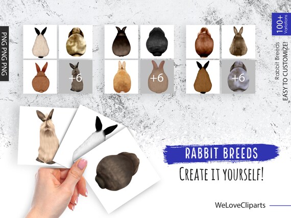 Animal Clipart: Rabbit Clipart and Small Pet Png's for | Etsy