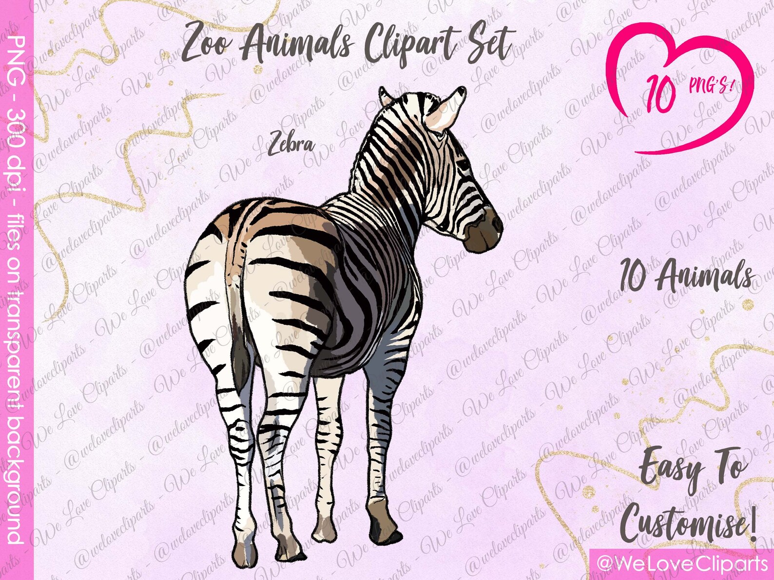 Zoo Safari Animals Clipart: Wild Animals SVG for Best Friends - Etsy