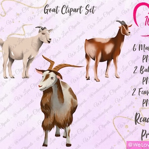 Goat Clipart: Farm Animal Clipart and Small Pet Png's for Besties SVG ...