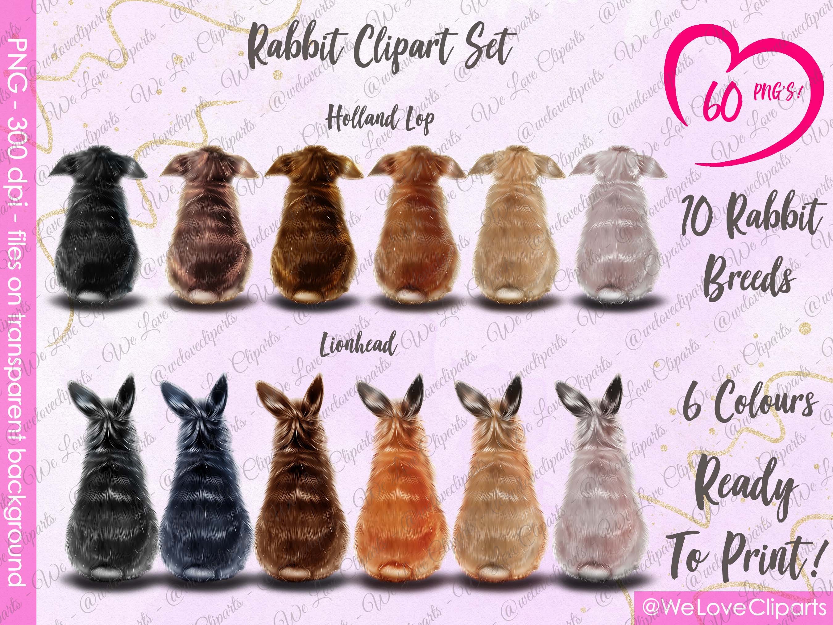 Animal Clipart: Rabbit Clipart With Bunny Png and Rabbit Png - Etsy