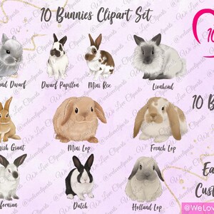 Animal Clipart: Bunny Png Bunny Face Png for Scrapbooking ...