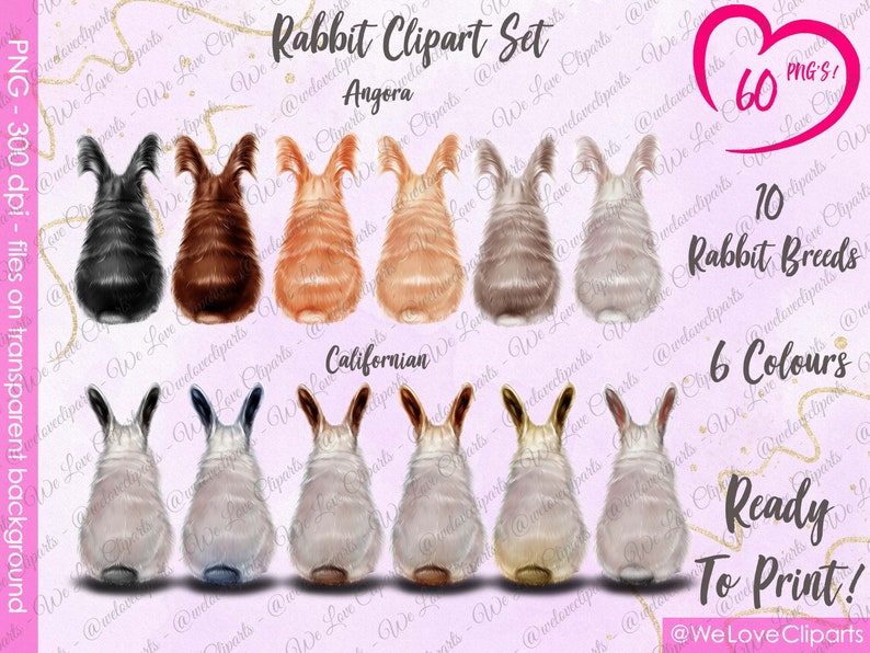 Animal Clipart: Rabbit Clipart With Bunny Png and Rabbit Png - Etsy