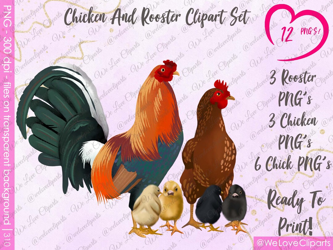 Pollo SVG y Gallo SVG / Clipart Animal de granja svg para Besties SVG ...