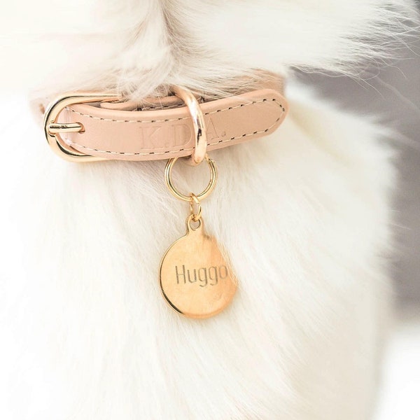 Dog Collar Tags - Etsy