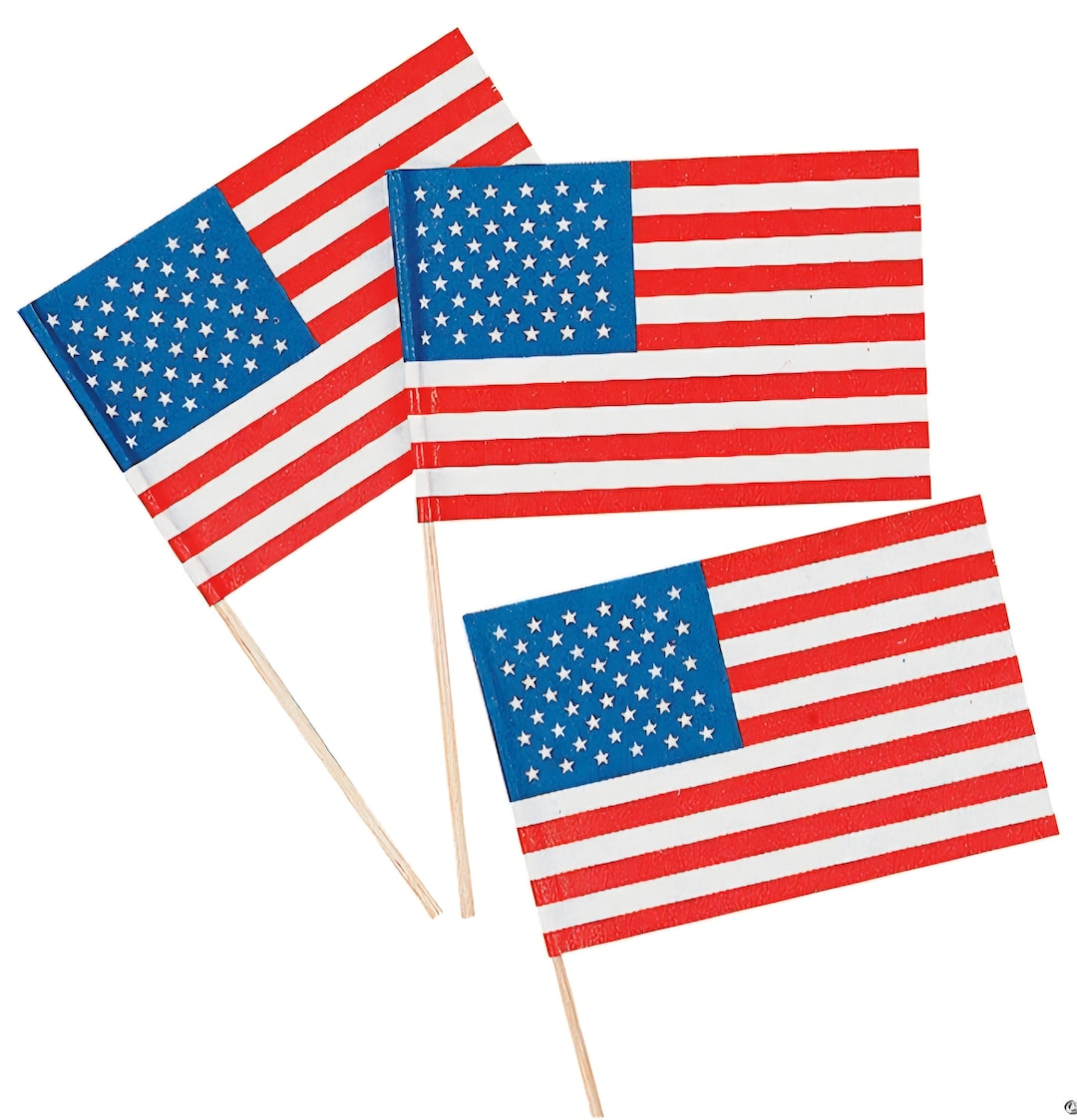 Paper USA Flag on Stick - Etsy