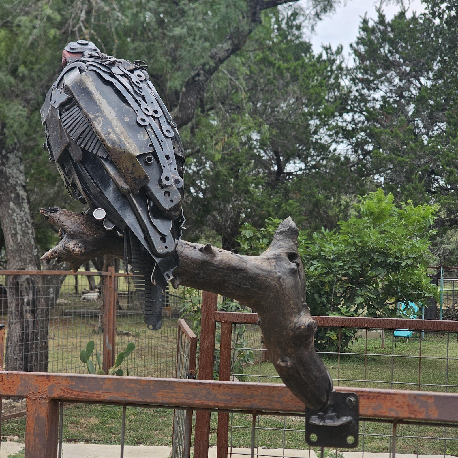 SOLD| Robot Vulture Sculpture | Steampunk Bird Art | Scrap Metal Bird ...