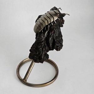 Isopod Pill Bug Sculpture Metal Statue Steampunk Insect - Etsy