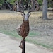 SOLD | Fine Art Deer Sculpture | Scrap Metal Deer Statue | Reclaimed ...