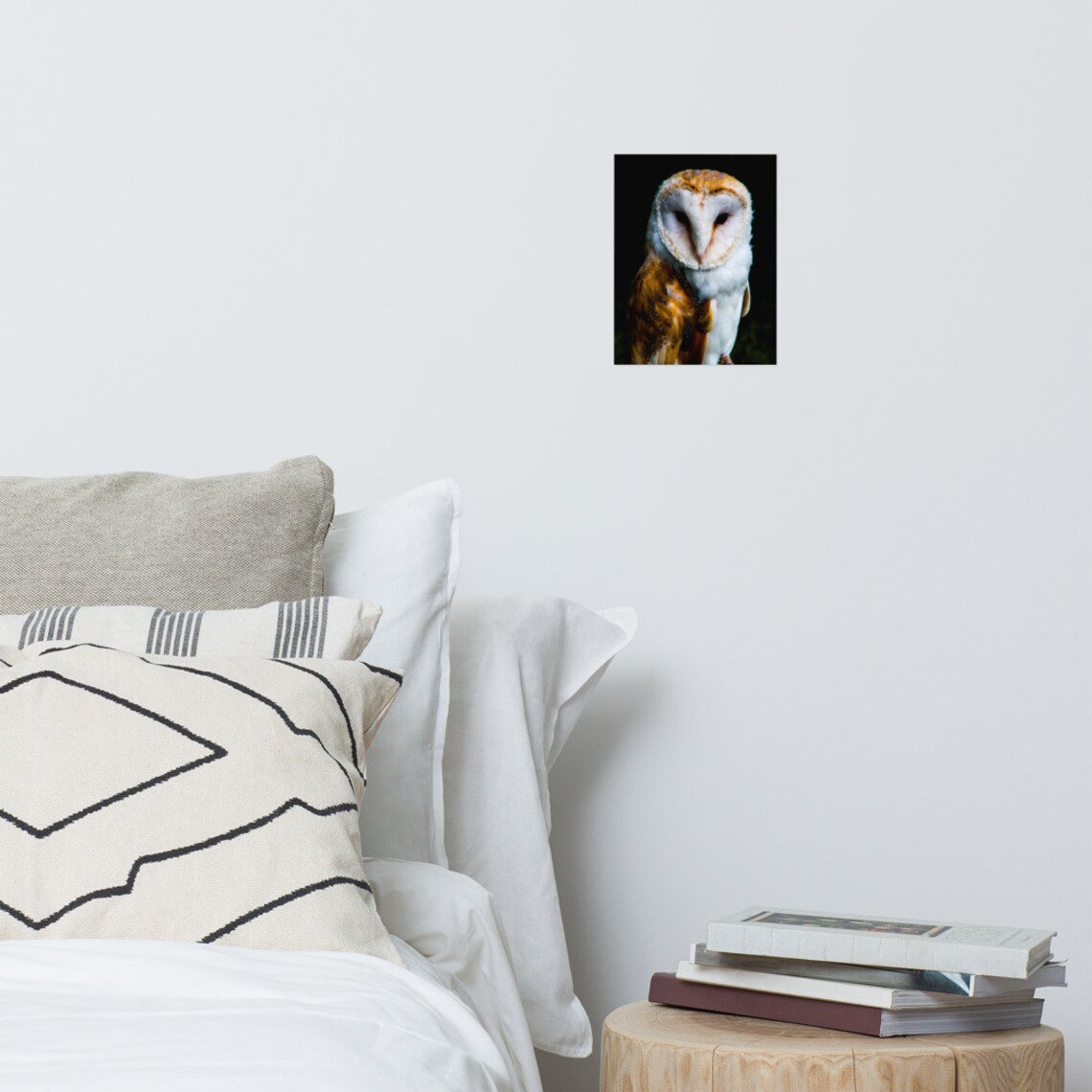 Barn Owl Print - Etsy