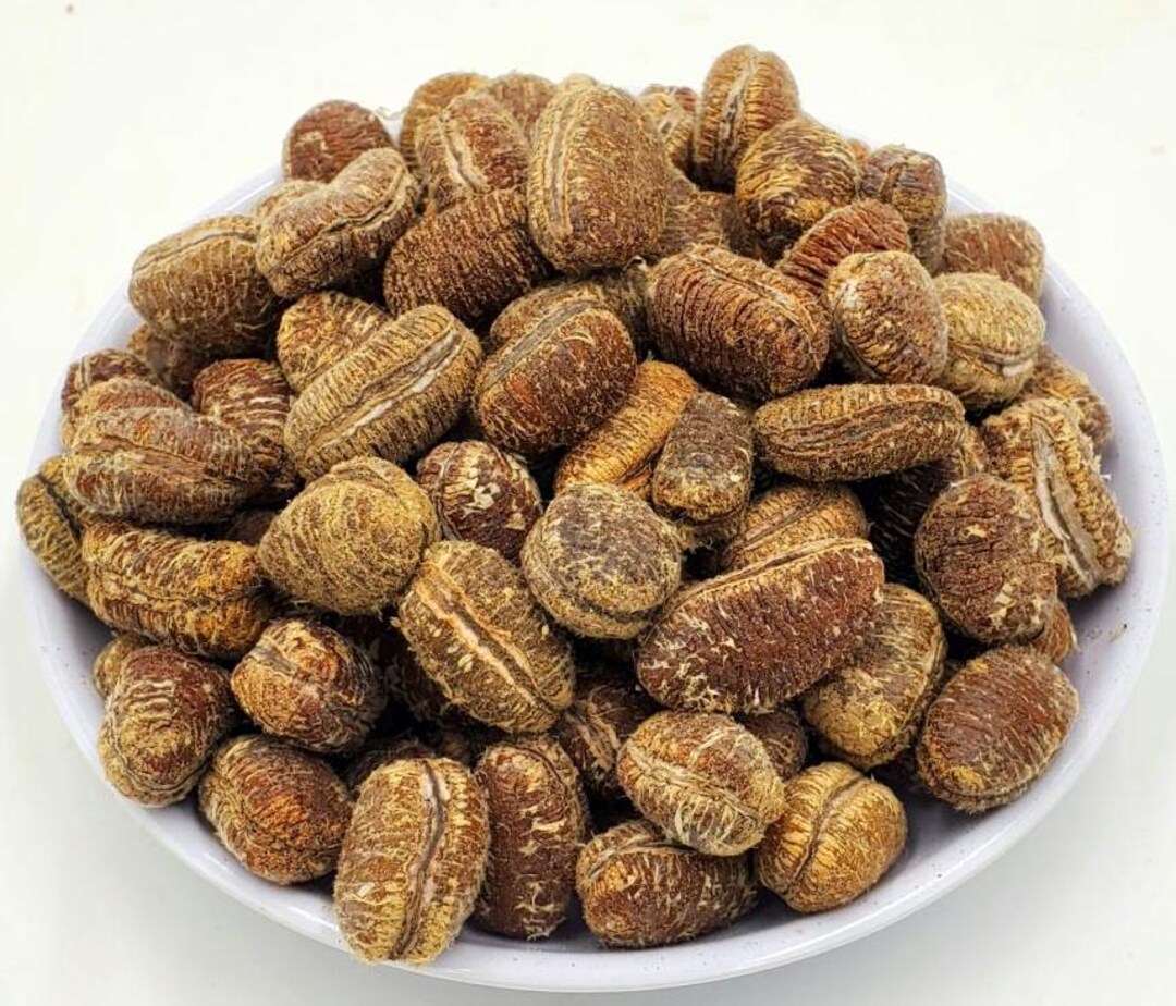 African Calabash Nutmeg - 3oz - Etsy