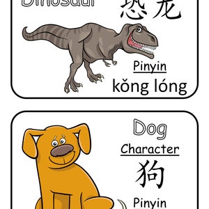 Mandarin Chinese Animals Flashcards 101 Animal Vocabulary - Etsy