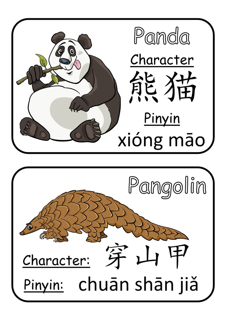Mandarin Chinese Animals Flashcards 101 Animal Vocabulary Flash Cards ...
