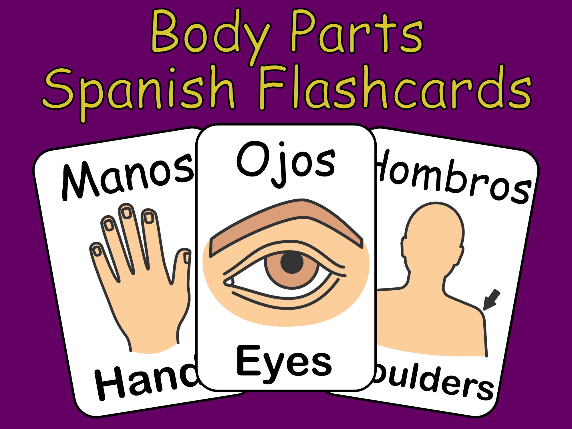 Spanish Body Parts Flashcards Human Anatomy Vocabulary Flash - Etsy