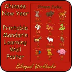 Chinese New Year 2024 Mandarin Bundle-picture Flash Cards, Write ...