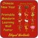 Chinese New Year 2024 Mandarin Bundle-picture Flash Cards, Write ...
