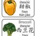 Mandarin Chinese Foods Flashcards 101 Food Vocabulary Flash Cards With ...