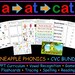 Pineapple Phonics Level 2 - English CVC Short Vowel Rainbow Reading ...