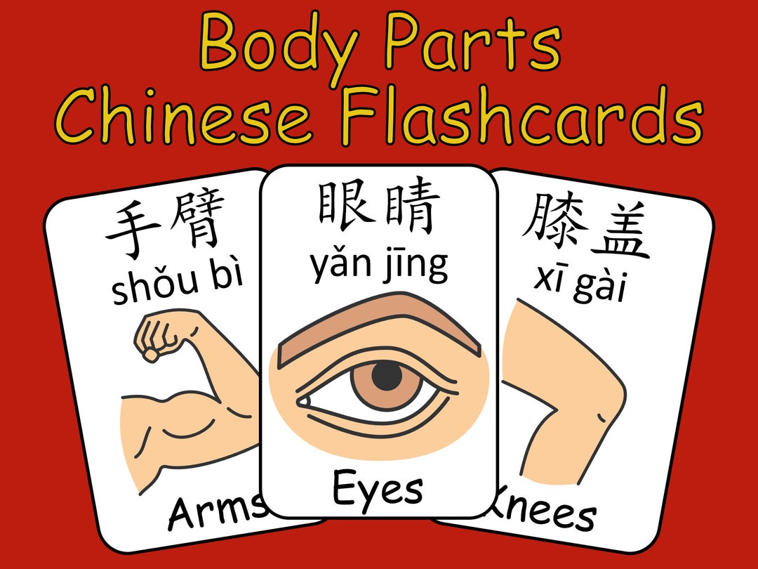 Mandarin Chinese First Words Flashcards Body Parts Flash Cards With ...