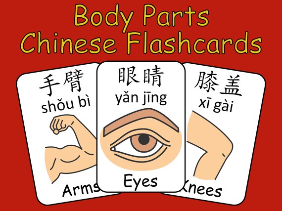 Mandarin Chinese First Words Flashcards Body Parts Flash - Etsy