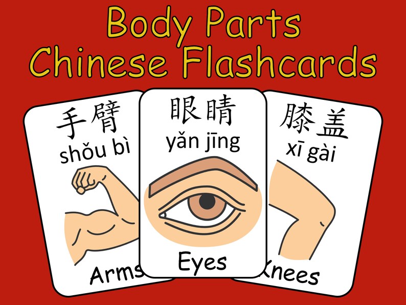 Mandarin Chinese First Words Flashcards Body Parts Flash Cards With ...