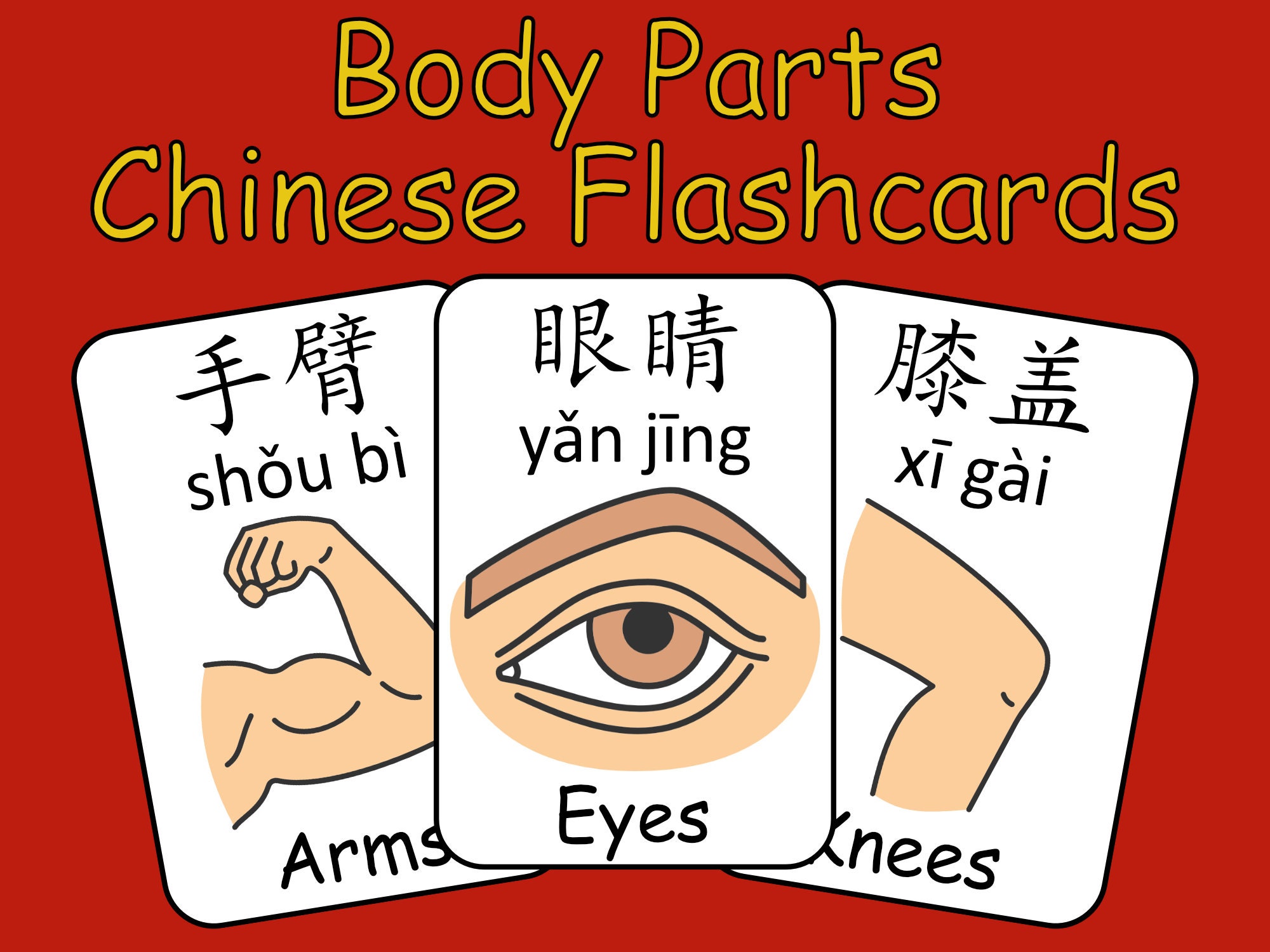 Mandarin Chinese First Words Flashcards Body Parts Flash Cards With ...