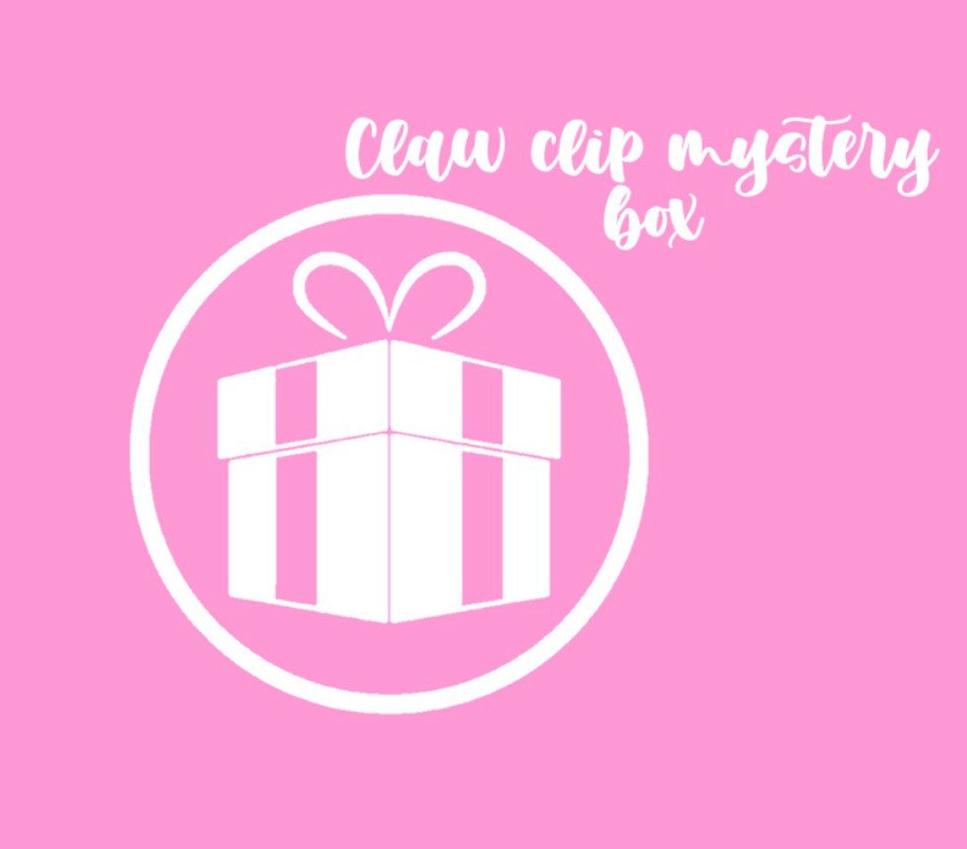 Mystery Box Claw Clip Mystery Box Preppy Claw Clip Flower Claw Clip ...