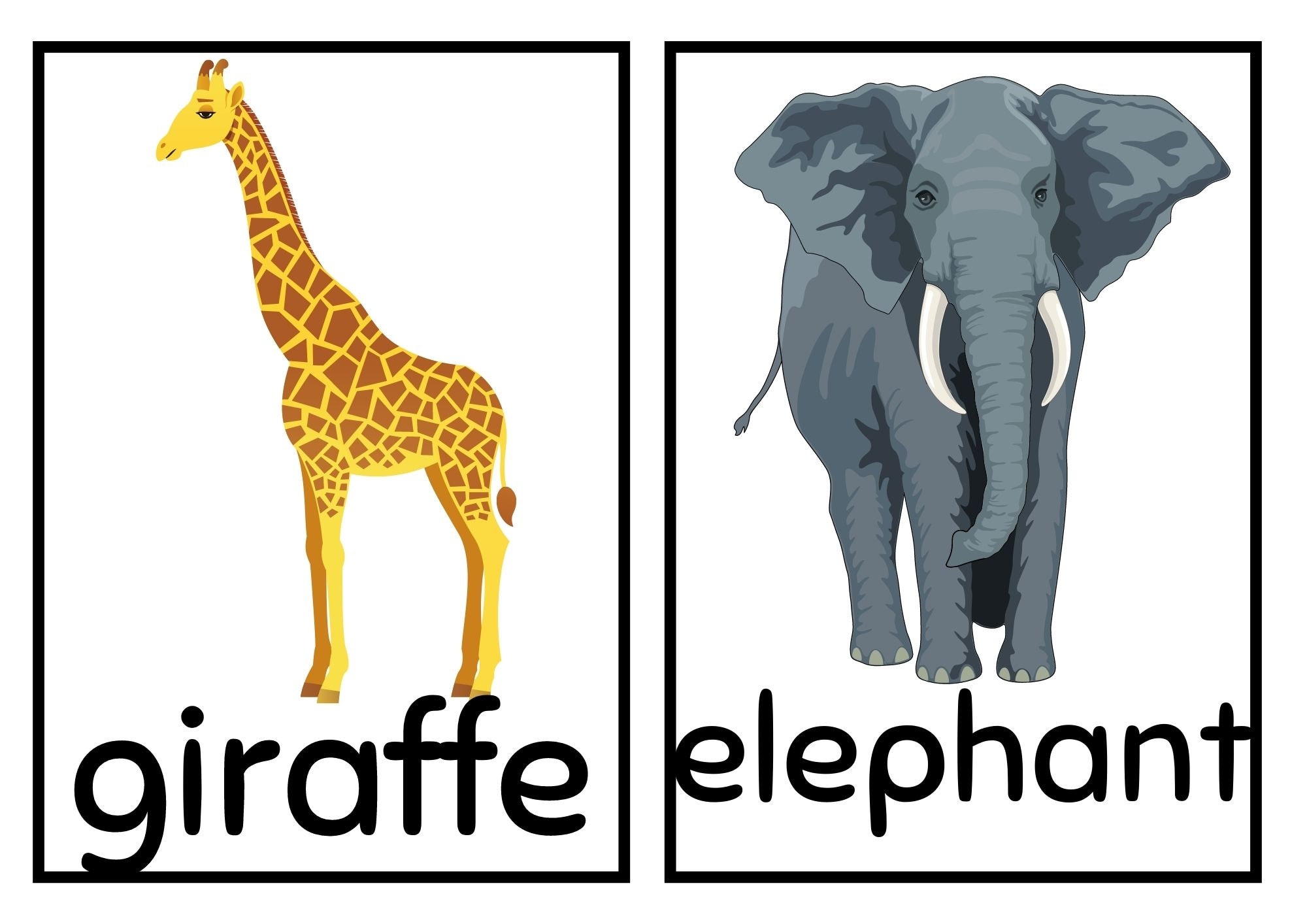 Wild Animals Flashcards For Kindergarten at Theresa Hanson blog