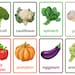 Printable Vegetables and Herbs Flashcards - Etsy