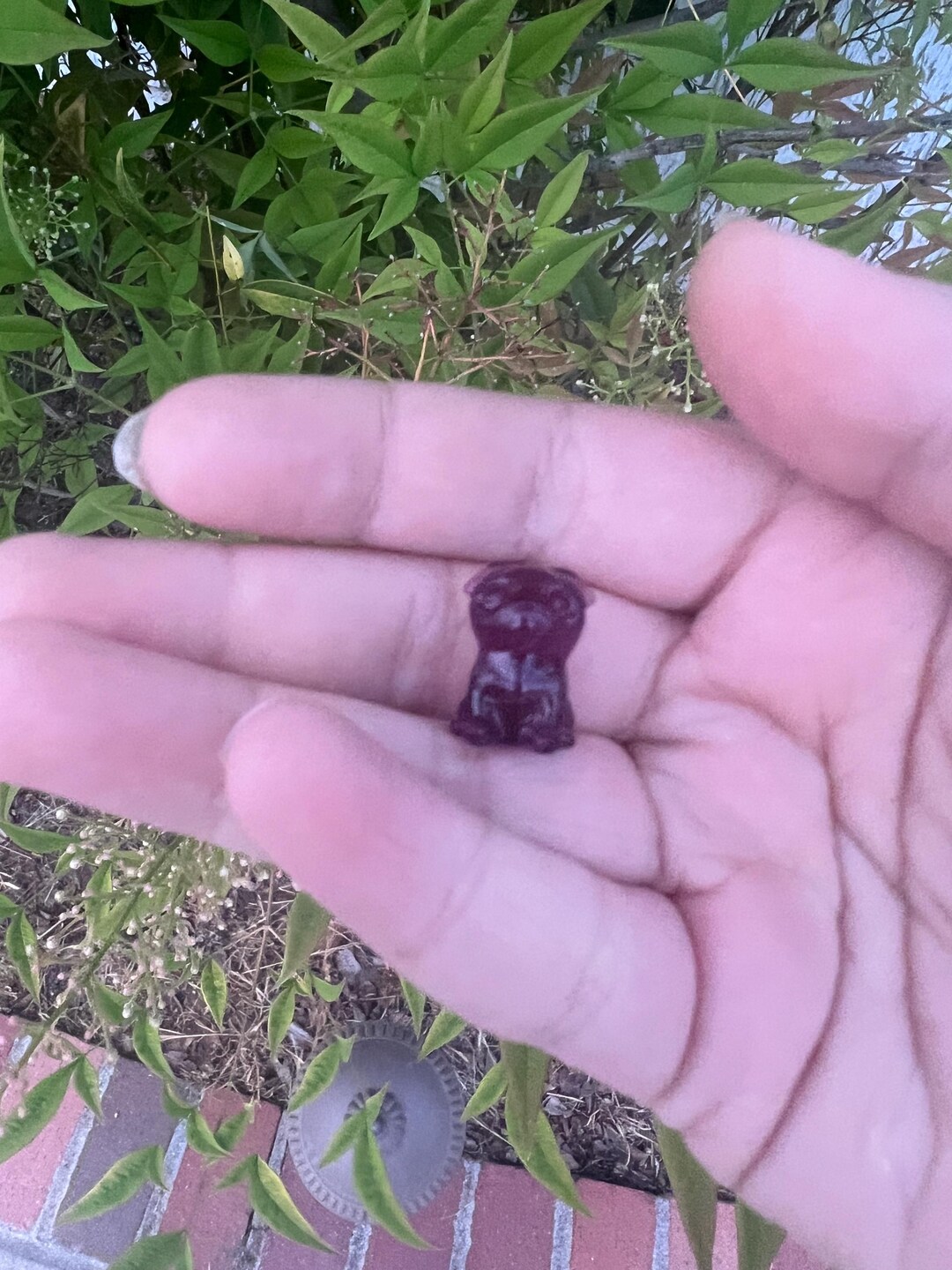 Pug Dog Flourite Mini Crystal Carving - Etsy