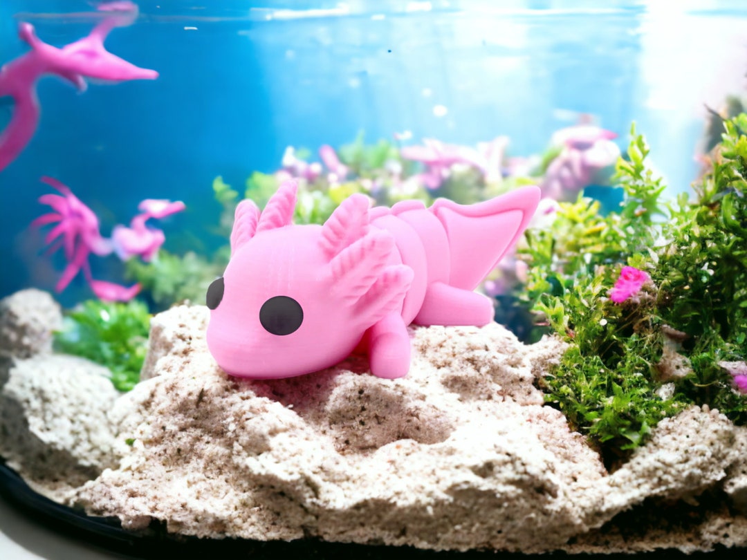 Cute Baby Axolotl Flexi Toy Sensory Fidget Autism Focus Toy - Etsy