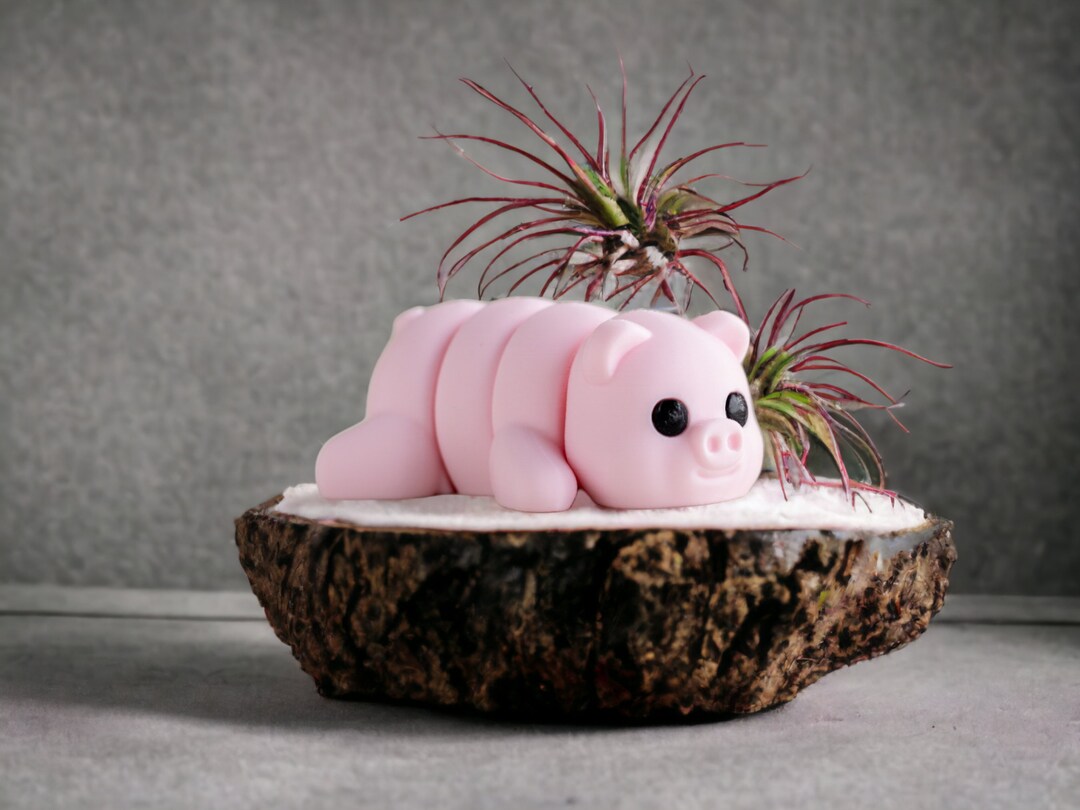 Baby Pig Fidget Toy - Etsy