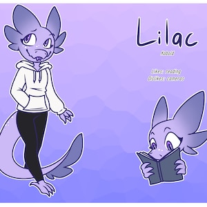 Reference Sheet Commission - Etsy