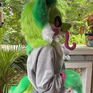 Frog Fox Premade Partial Fursuit - Etsy