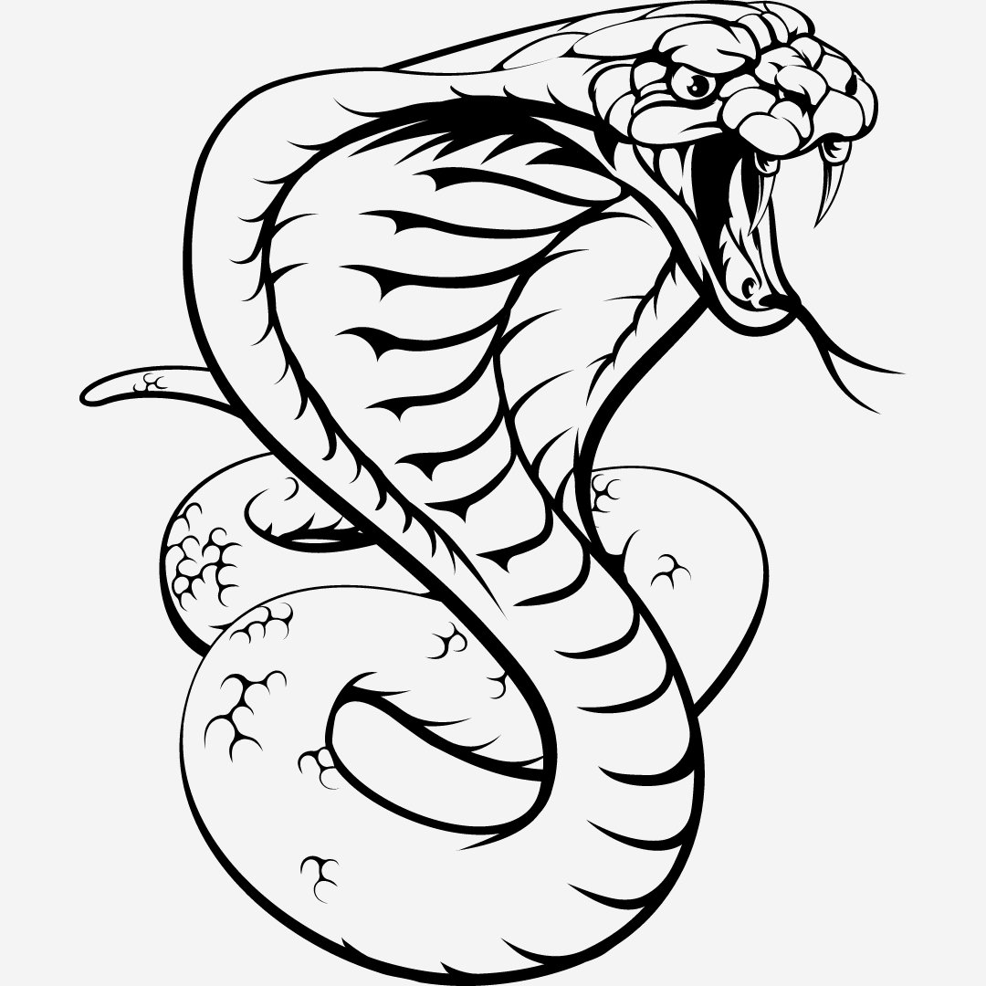 Copperhead Snake Head Drawing