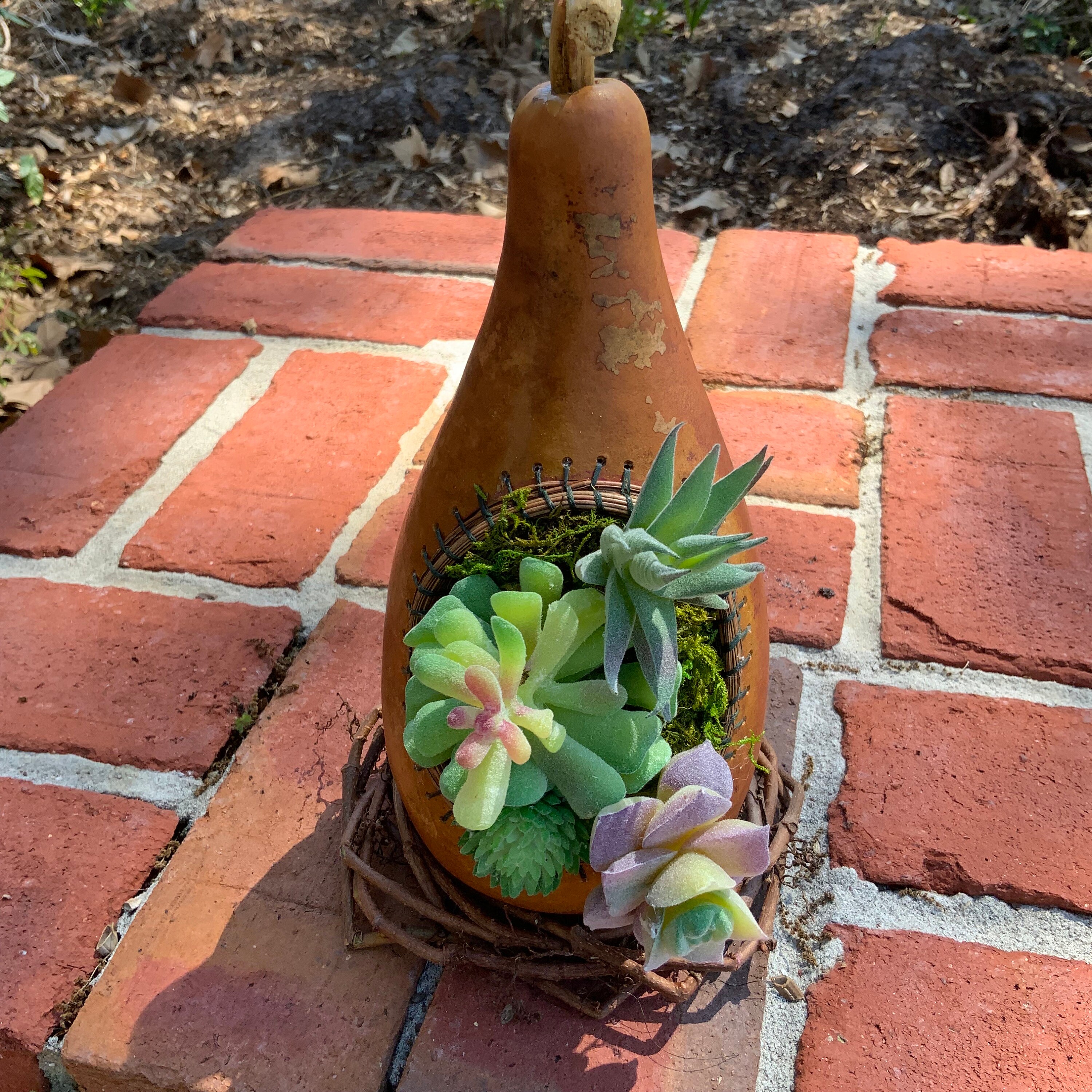 Gourd Planter With Succulents, Pine Needle Coiling, Grapevine Stand ...
