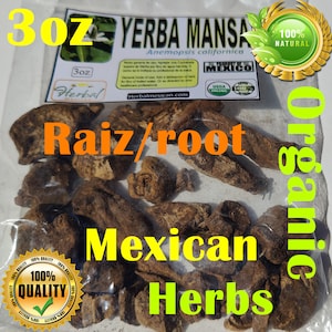 3 Oz Yerba Mansa/manza/manso ,mansa Root, Hierba Del Manzo Raiz ...