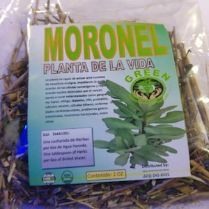 Moronel, Ramas De Moronel , Te De Moronel Natural Organico 2oz !!! - Etsy