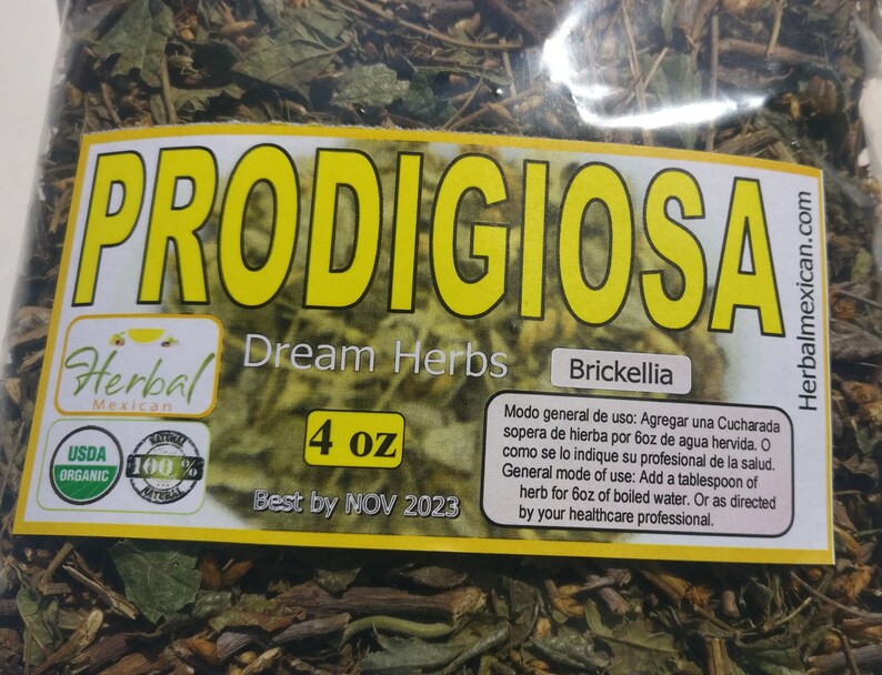 Cathedral Bells Prodigiosa Hierba Te Brickelia Organic - Etsy