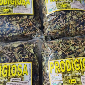 Cathedral Bells Prodigiosa Hierba Te Brickelia Organic Prodijiosa Leaf ...
