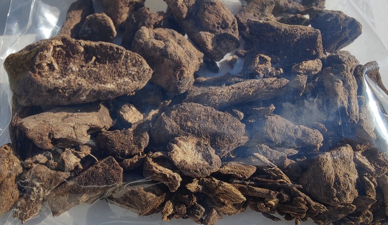 3 Oz Yerba Mansa/manza/manso ,mansa Root, Hierba Del Manzo Raiz ...