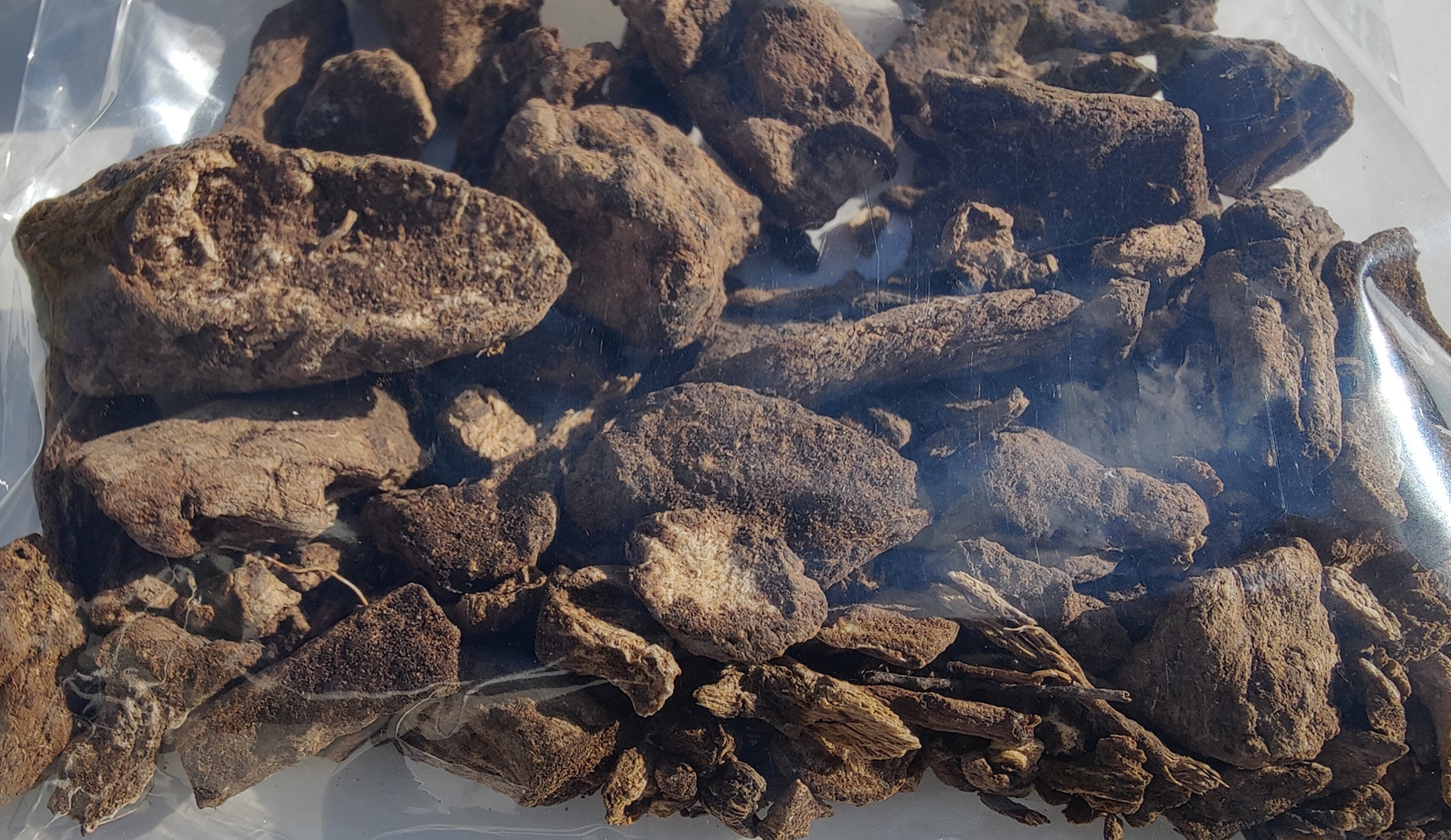 3 Oz Yerba Mansa/manza/manso ,mansa Root, Hierba Del Manzo Raiz ...