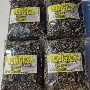 Cathedral Bells Prodigiosa Hierba Te Brickelia Organic Prodijiosa Leaf ...