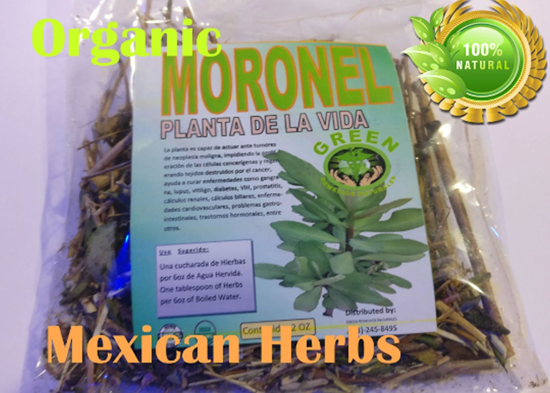 Moronel, Ramas De Moronel , Te De Moronel Natural Organico 2oz !!! - Etsy