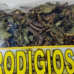 Cathedral Bells Prodigiosa Hierba Te Brickelia Organic Prodijiosa Leaf ...