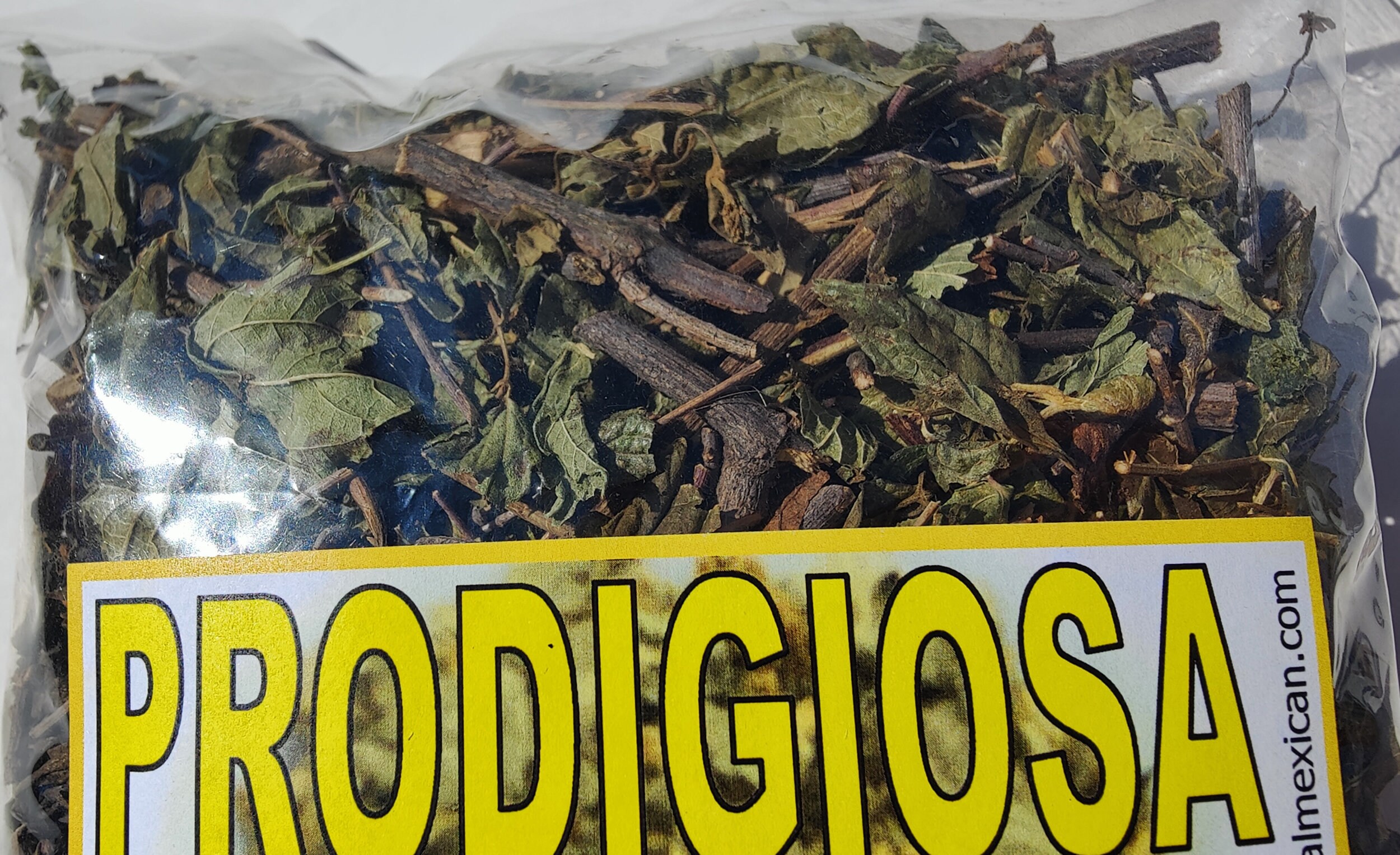 Cathedral Bells Prodigiosa Hierba Te Brickelia Organic Prodijiosa Leaf ...