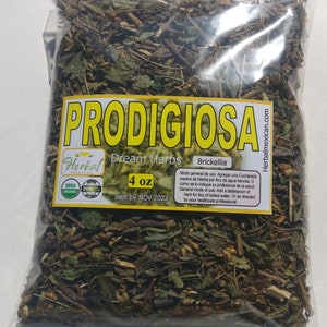 Cathedral Bells Prodigiosa Hierba Te Brickelia Organic - Etsy
