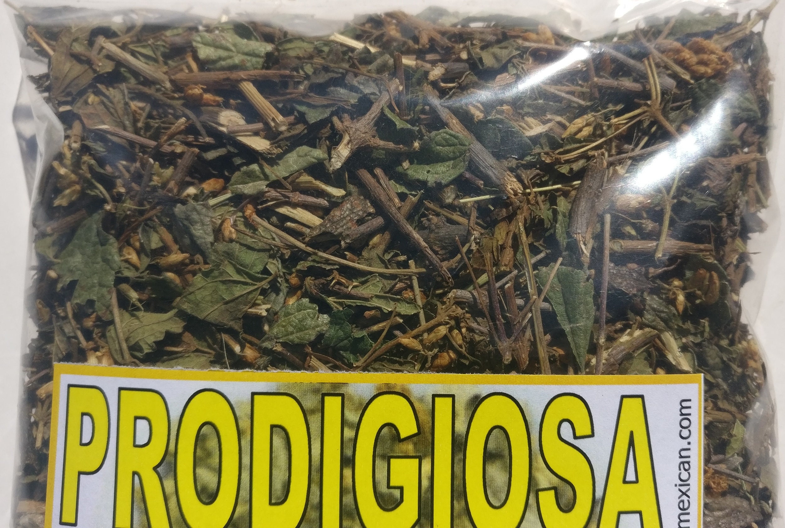 Cathedral Bells Prodigiosa Hierba Te Brickelia Organic - Etsy